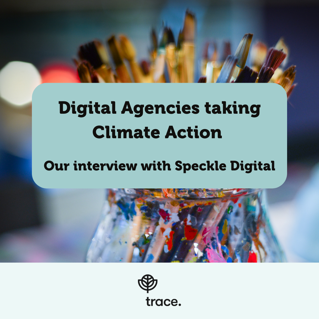 Digital agencies taking climate action: our interview with Speckle Digital | Trace